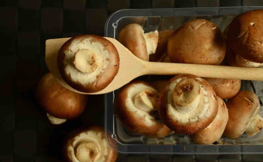 「きのこ」はフランス語で？様々なきのこの呼び方を紹介 - Bibliette（ビブリエット）